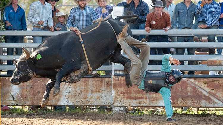 Jindabyne Man from Snowy River Rodeo